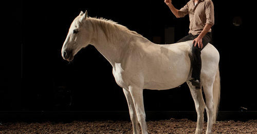 Productions et tournées | Plusieurs - Bertrand Bossard